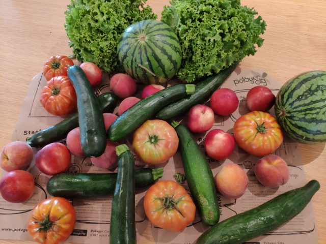 Avis sur Potager City et Code de 5€ pour commencer – Conseil Géant